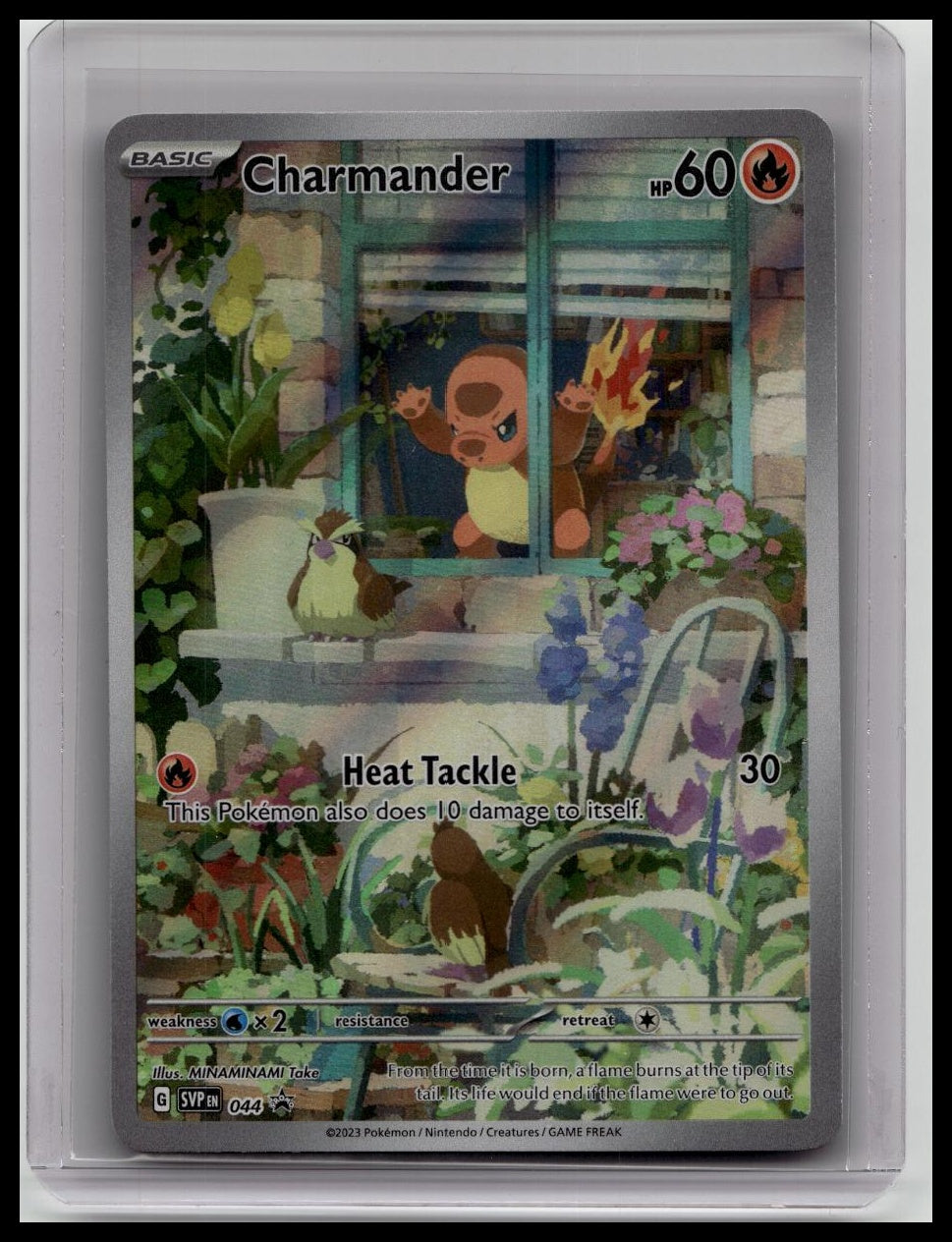Charmander SVP044 Obsidian Flames EN Black Star Promo SVP 044 Pokemon ...